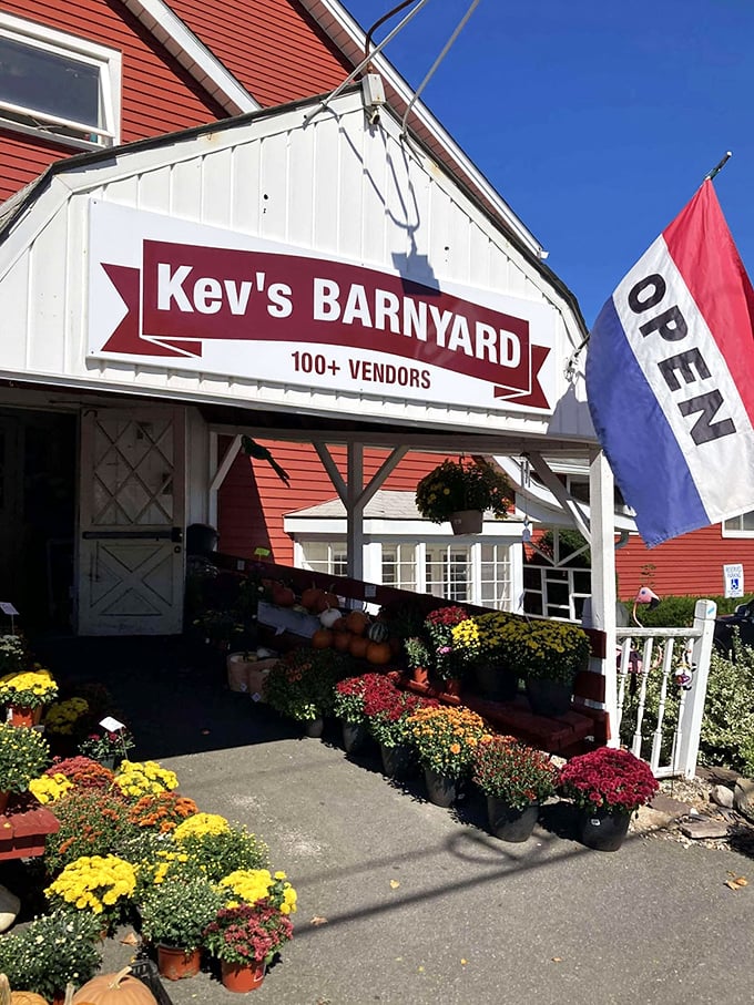 Fall mums and summer blooms frame the entrance to Kev's, where seasonal shopping feels like visiting a particularly interesting neighbor's yard.