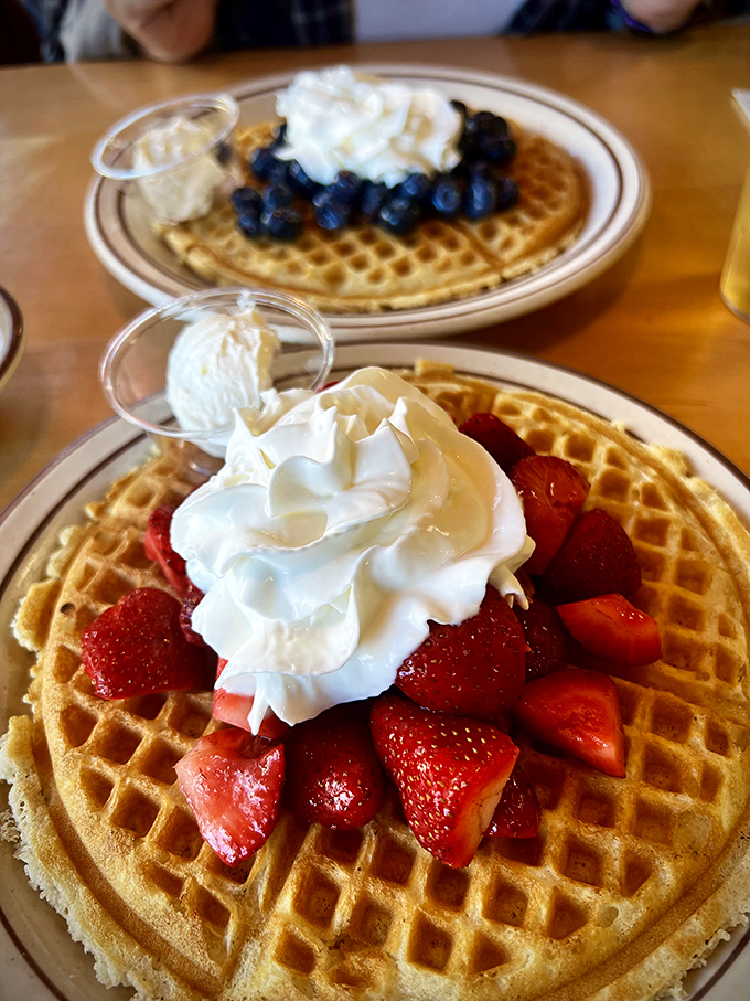 Waffles aren't just breakfast at Ole's—they're platforms for berry brilliance, with perfect dimples cradling fresh fruit and cream like nature intended. 