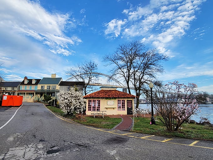 Spring blossoms frame waterfront charm in a scene straight from a small-town romance novel. Even the parking spaces seem to have water views here.
