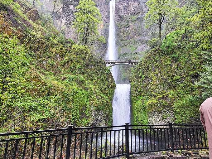Hiking trails wind through the Columbia Gorge, offering views that make even the most dedicated couch potato consider becoming a nature enthusiast.