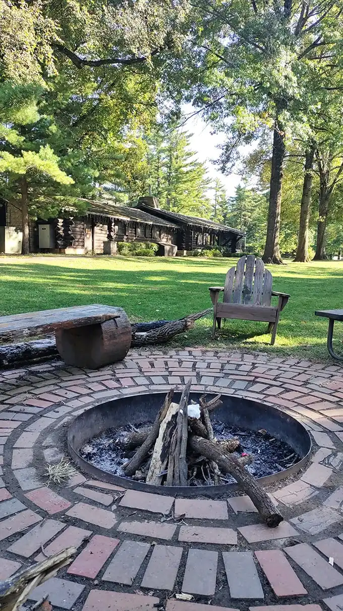 The perfect campfire circle—where ghost stories improve exponentially and marshmallows meet their delicious doom under starlit Illinois skies.