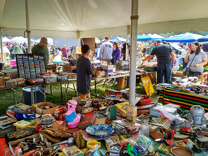 Stormville Airport Antique Show & Flea Market (Stormville): Organized chaos under open skies. Some people leave airports with souvenirs—here, you leave with someone else's history reimagined as your future.