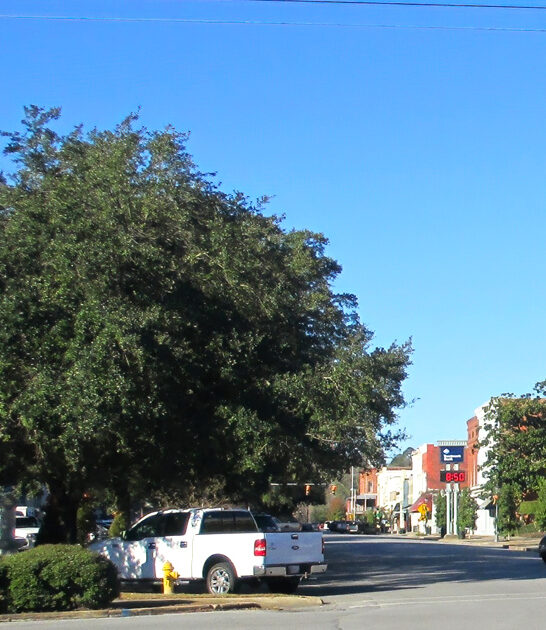 alabama irresistibly charming town ftr