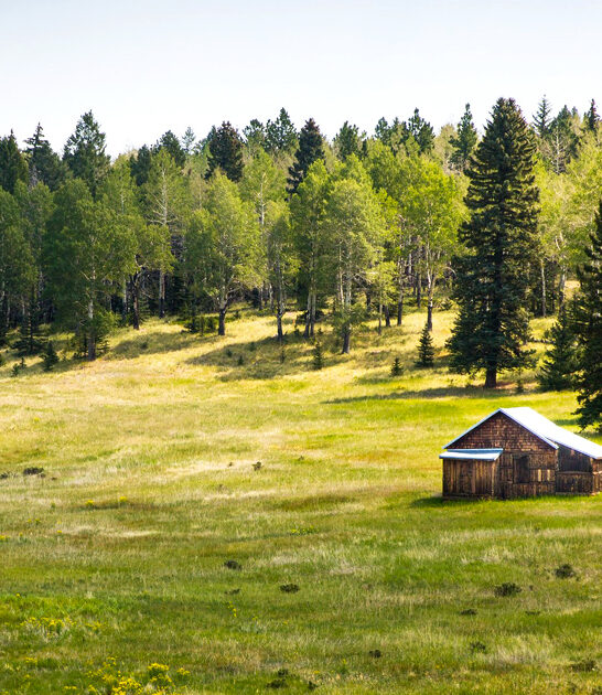 colorado perfect day trip ftr