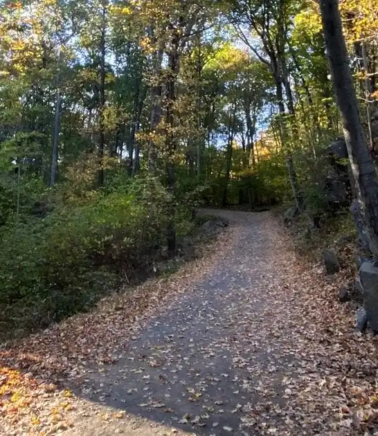 connecticut picturesque trail views ftr