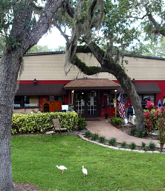 enormous thrift place florida ftr