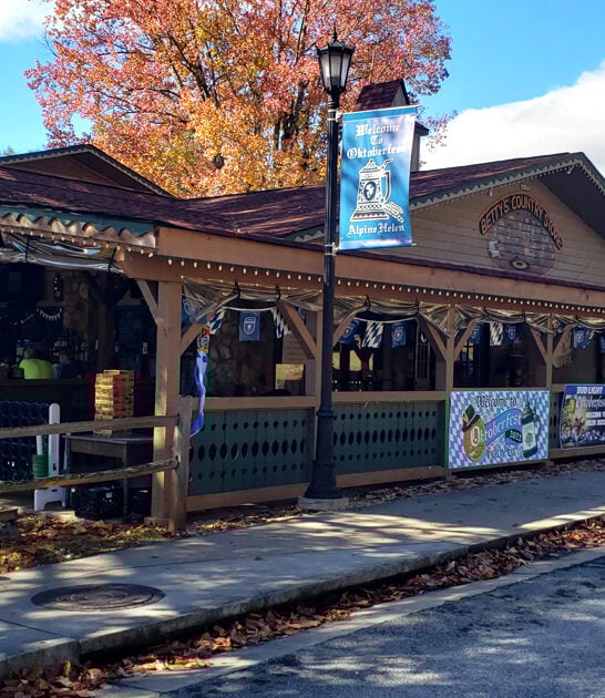georgia sandwiches general store ftr
