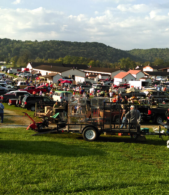 massive swap meet indiana ftr