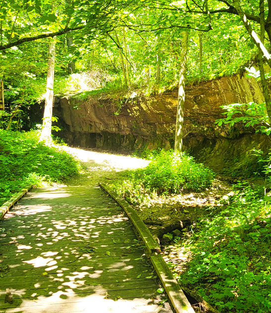 mini state park missouri ftr