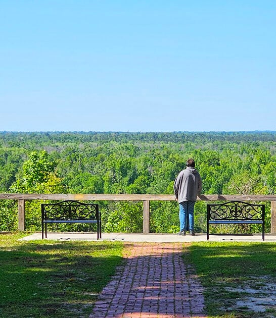 park florida spring trip ftr