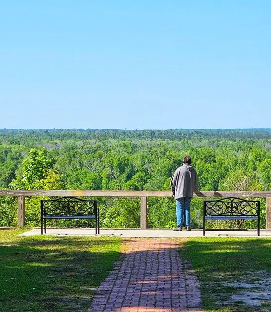 park florida spring trip ftr
