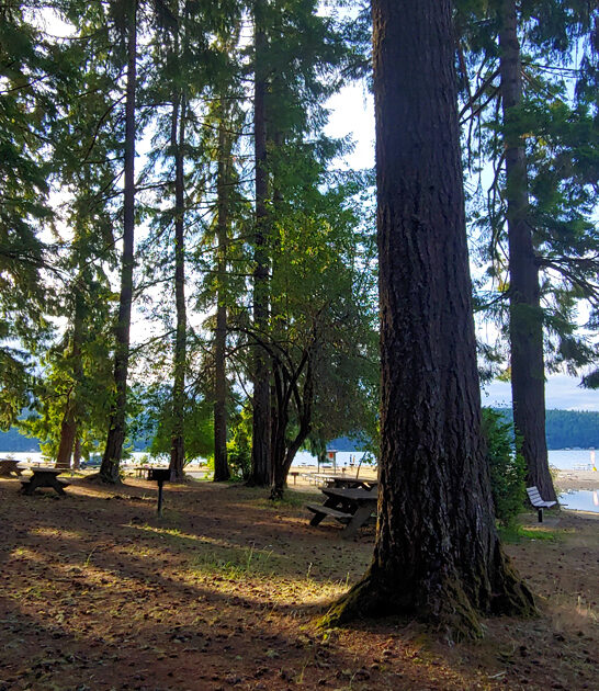 perfect day trip washington ftr
