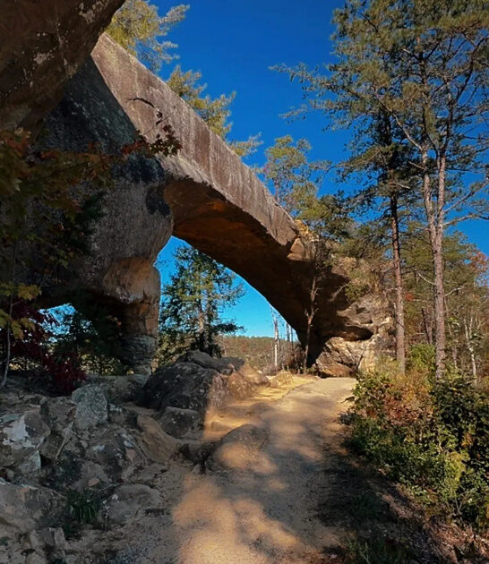 scenic easy trail kentucky ftr