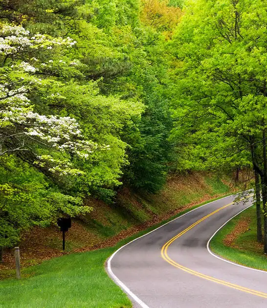 scenic road trip virginia ftr