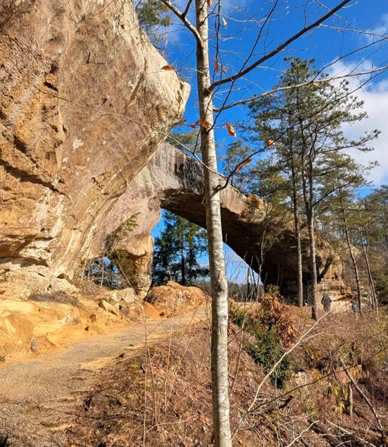 short easy hike kentucky ftr