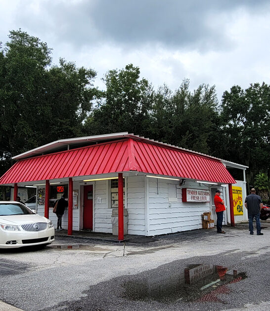 southern style florida chicken ftr