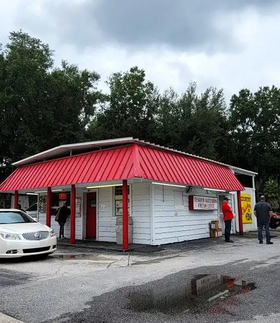 southern style florida chicken ftr