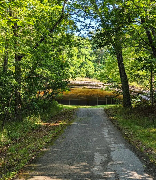 state park missouri spring ftr