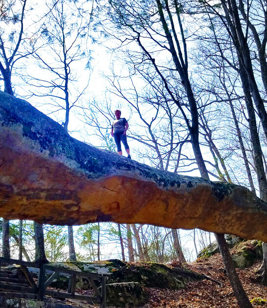 tiny mighty kentucky park ftr