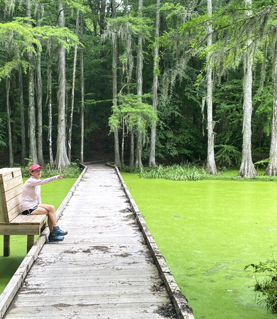 tiny north carolina park ftr