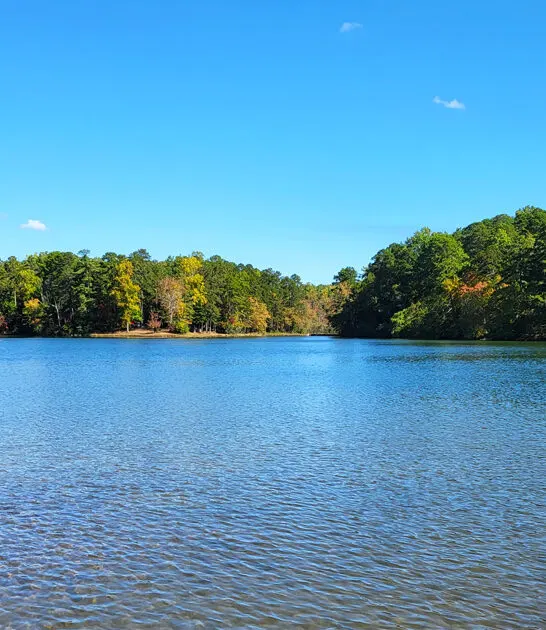 tiny park south carolina ftr