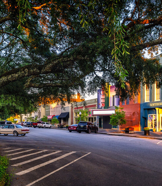 tiny town alabama ftr