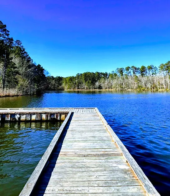 underrated state parks louisiana ftr