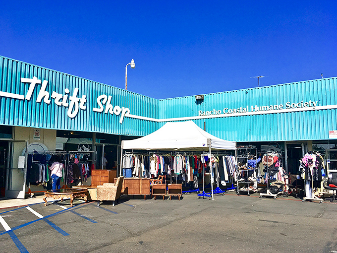 That turquoise facade isn't just eye-catching—it's a beacon for bargain hunters and animal lovers alike. The perfect California combo: thrifting with purpose. 