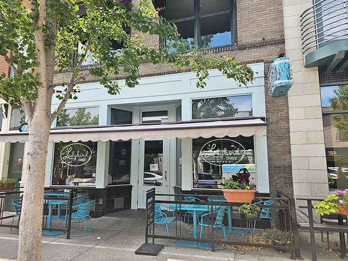 The turquoise chairs outside Ladybird Diner aren't just seating—they're an invitation to slow down and savor life one pancake at a time.