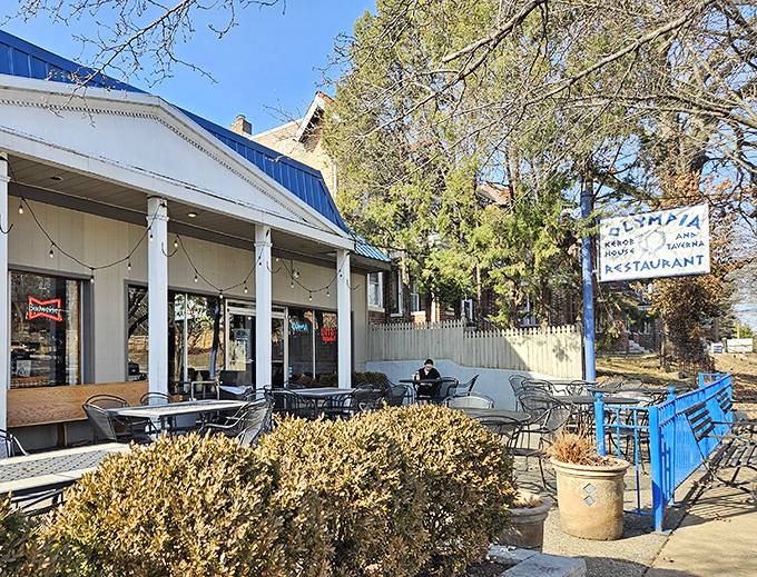 A Mediterranean oasis awaits behind leafy sentinels. Olympia's inviting blue-and-white patio beckons passersby to escape the Missouri heat for a Grecian retreat.