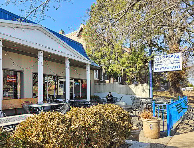 A Mediterranean oasis awaits behind leafy sentinels. Olympia's inviting blue-and-white patio beckons passersby to escape the Missouri heat for a Grecian retreat. 