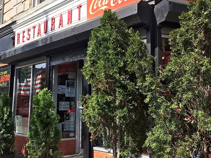 That classic corner storefront isn't just architectural eye candy—it's a beacon of breakfast hope on Washington Avenue, promising pancake nirvana inside.