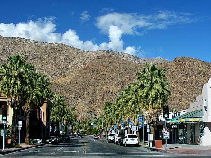 Palm-lined streets meet majestic mountains in this quintessential Palm Springs vista. Mother Nature's perfect backdrop for your treasure-hunting adventures.