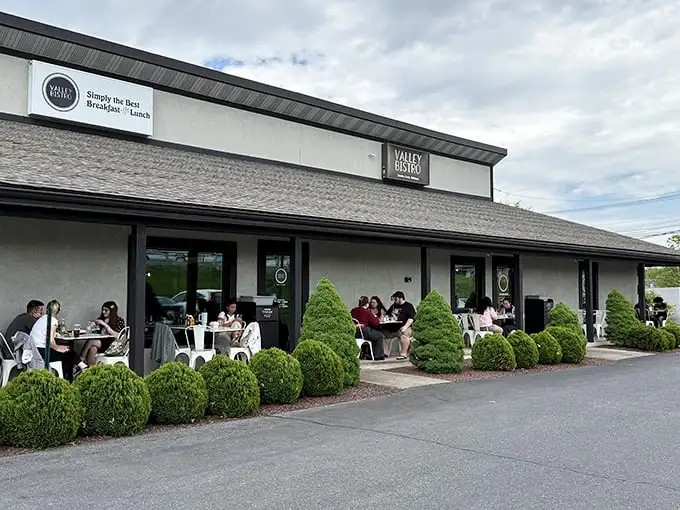 Valley Bistro's unassuming exterior hides culinary treasures within, like finding a Michelin-worthy meal in your neighbor's garage. Those manicured shrubs are just the appetizer.