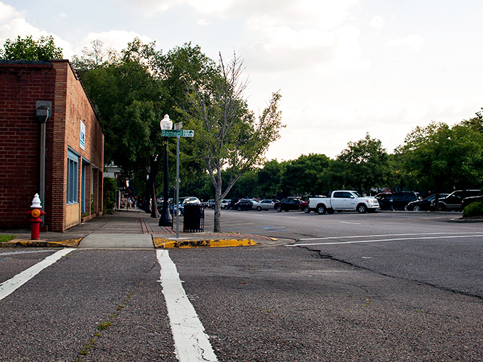 Laurens Street welcomes you with that perfect small-town charm – brick buildings, shady trees, and parking spots that don't require parallel parking wizardry.