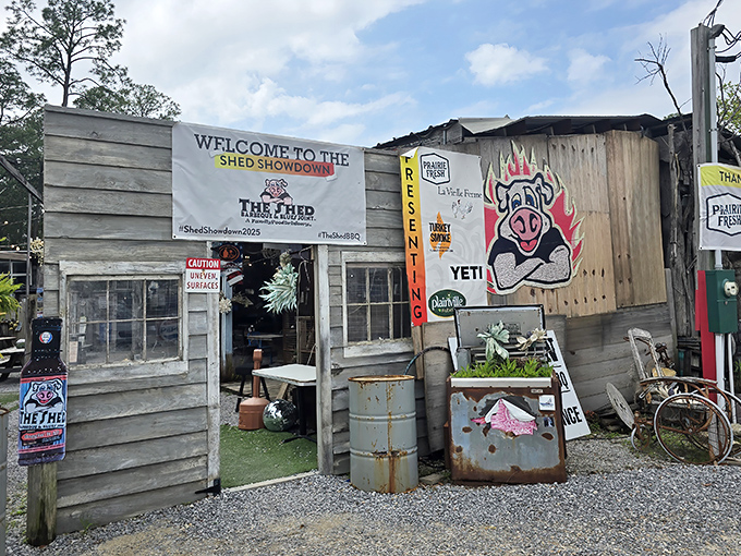 Where rustic charm meets culinary magic. The Shed's exterior looks like it was assembled during a creative fever dream—and that's exactly its charm.