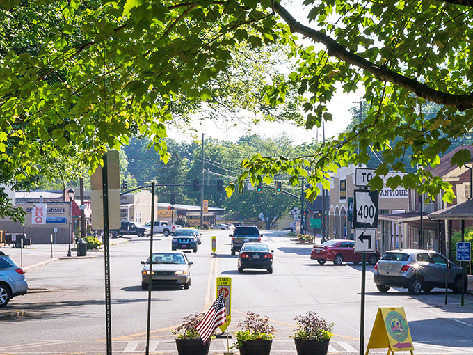 Vintage lampposts line Dahlonega's streets like sentinels of a bygone era, guiding visitors through this charming mountain town where time seems to slow down.