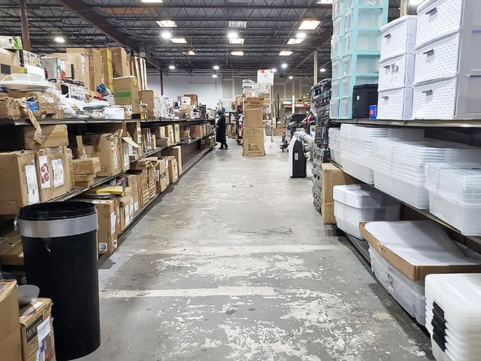 The warehouse wonderland stretches before you like an explorer's dream map – aisles of possibility waiting to be discovered.