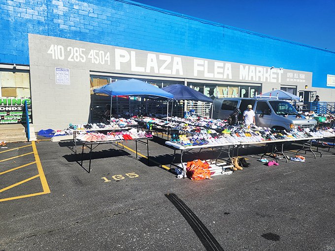 The blue facade of Plaza Flea Market beckons like a retail Narnia—where your wallet enters full and exits empty, but your heart does the opposite.