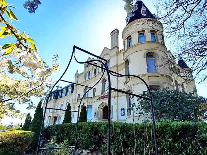 The cream-colored façade of Manresa Castle stands proudly against the Washington sky, like European royalty who decided the Pacific Northwest needed more turrets.