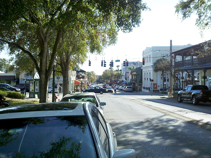 Historic brick buildings line Mount Dora's main street, where palm trees and vintage architecture create that perfect "Old Florida meets small-town charm" vibe.