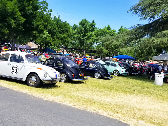 Sunshine, straw hats, and the promise of treasures – just another perfect day at Madera Flea Market where bargain hunting becomes an art form.