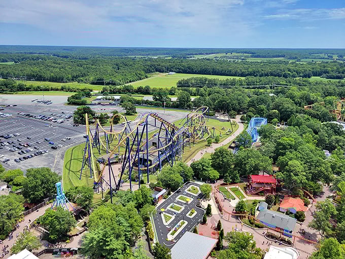A bird's-eye view that makes even the most intimidating coasters look like elaborate squiggles on nature's canvas. Thrills awaiting their next victims!