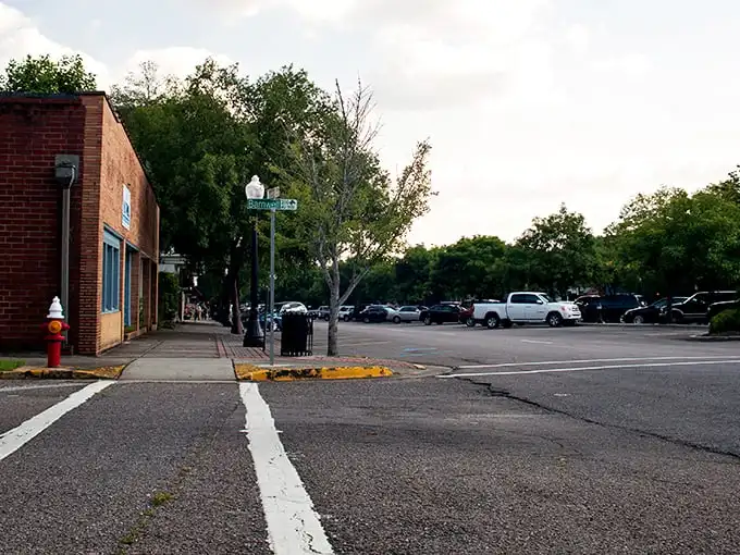 Downtown Aiken's wide boulevards and flower-filled medians aren't just pretty—they're a time machine to a more elegant era when horses, not horsepower, ruled the streets.