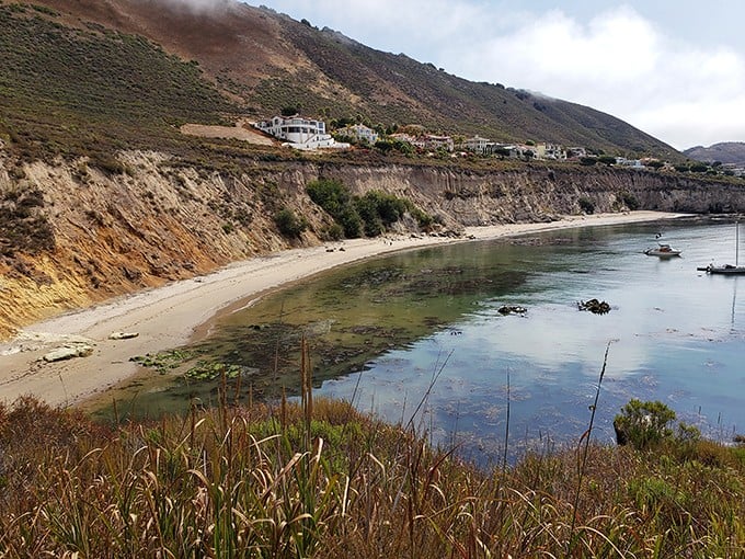 Nature's perfect viewpoint! The trail reveals Pirate's Cove below, where that impossibly blue water meets golden sand in a California dream come true.