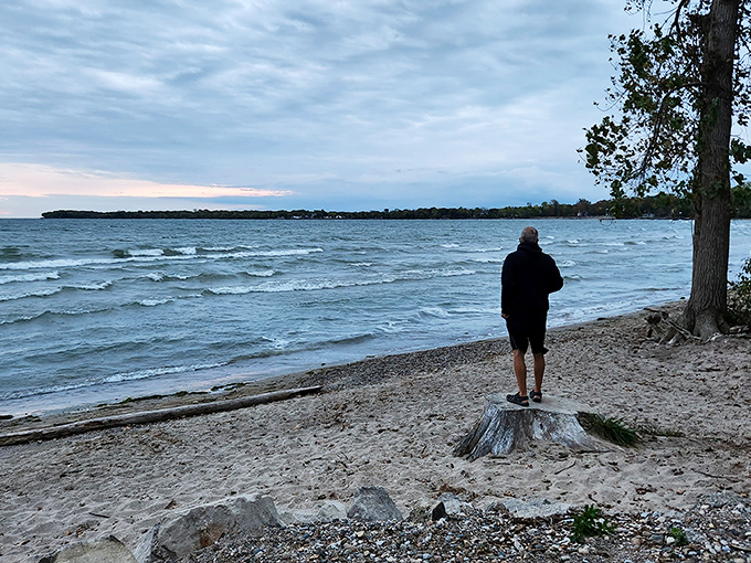 Twilight transforms Lake Erie into a moody masterpiece. Standing on that tree stump feels like being the captain of your own island adventure.