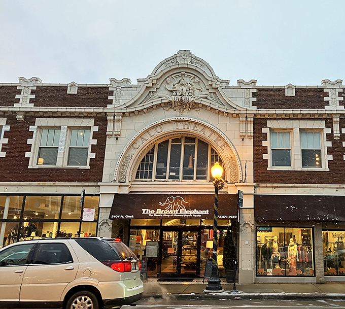 The grand architectural façade of The Brown Elephant stands proudly on Clark Street, like a palace dedicated to the art of secondhand treasures.