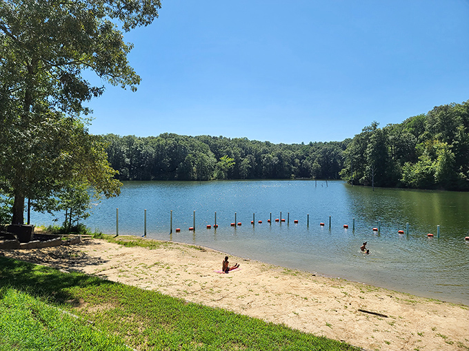 Paradise found! The sandy shores of Village Creek State Park offer a beach experience so unexpected in Arkansas, you'll wonder if you took a wrong turn at Albuquerque.