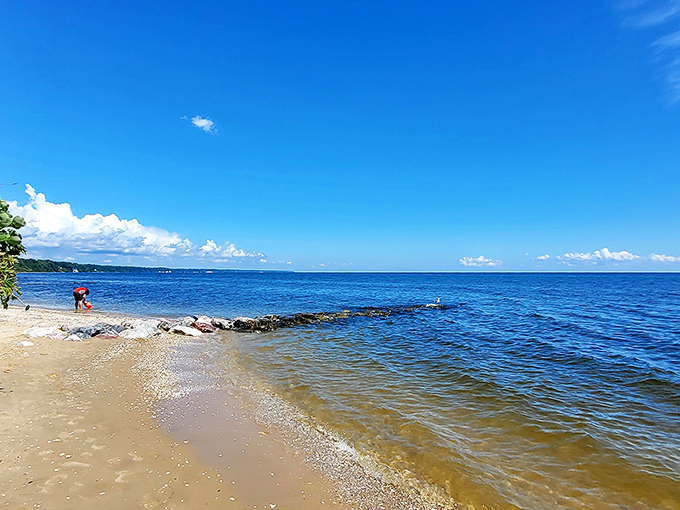 Where the Chesapeake meets untouched shoreline—Matoaka's gentle waves and pristine sand create nature's perfect escape from modern chaos.