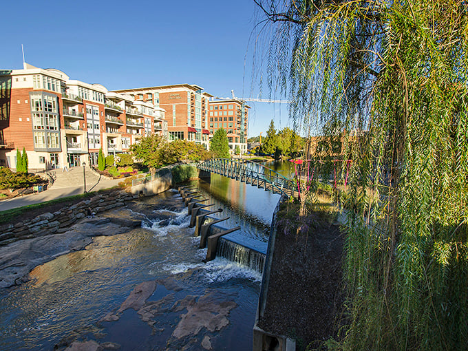 Greenville's golden hour transforms ordinary buildings into silent storytellers, whispering tales of the city's textile past and vibrant present.